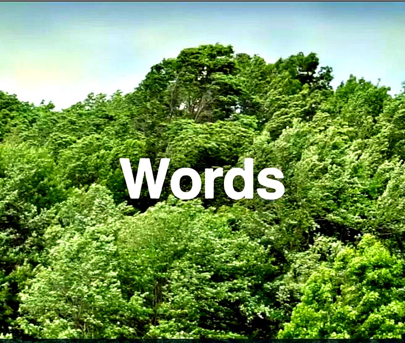 VIDEO: Words – ideaFM